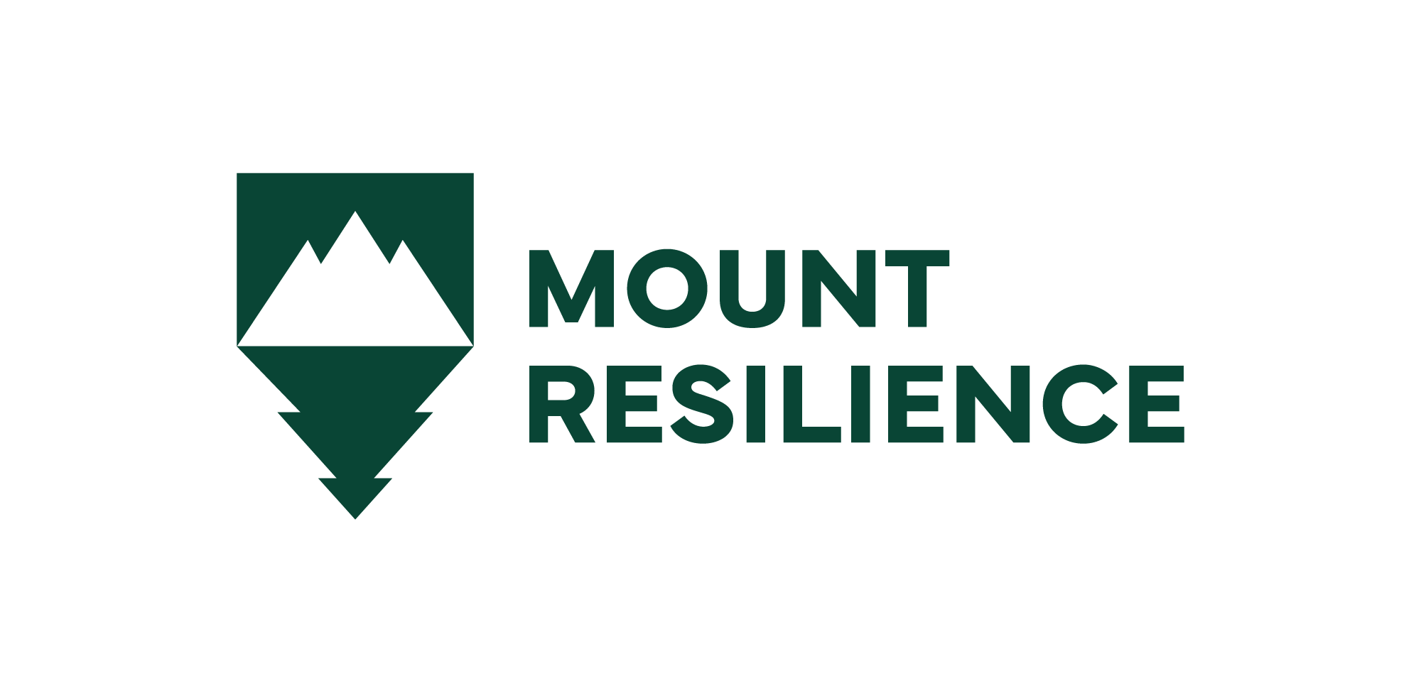 MountResilience – ZSI